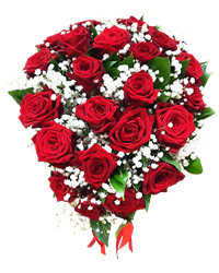 Flower and gift delivery in Chile | Cyber-Florist.com